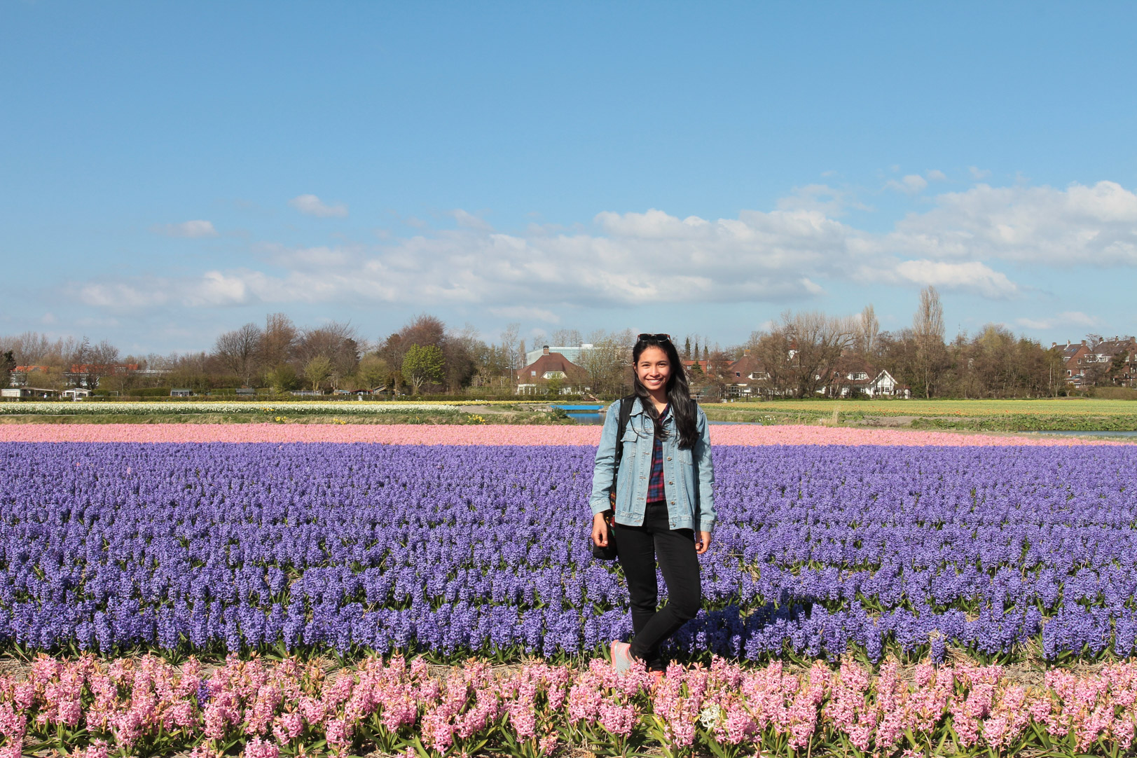 Tips Berkunjung ke Ladang Tulip Gratis di Belanda - Arista's Travelogue
