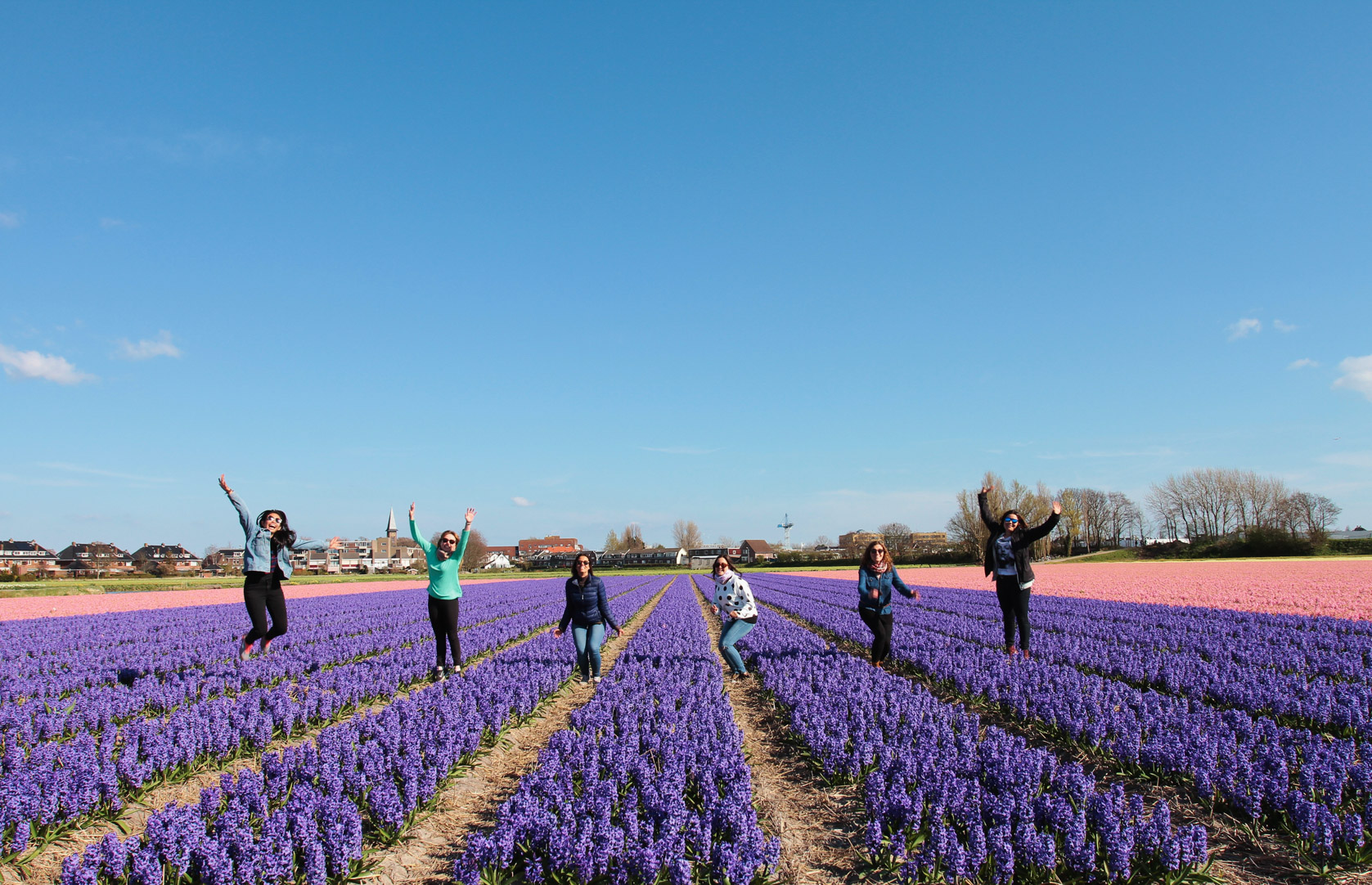 Tips Berkunjung ke Ladang Tulip Gratis di Belanda - Arista's Travelogue
