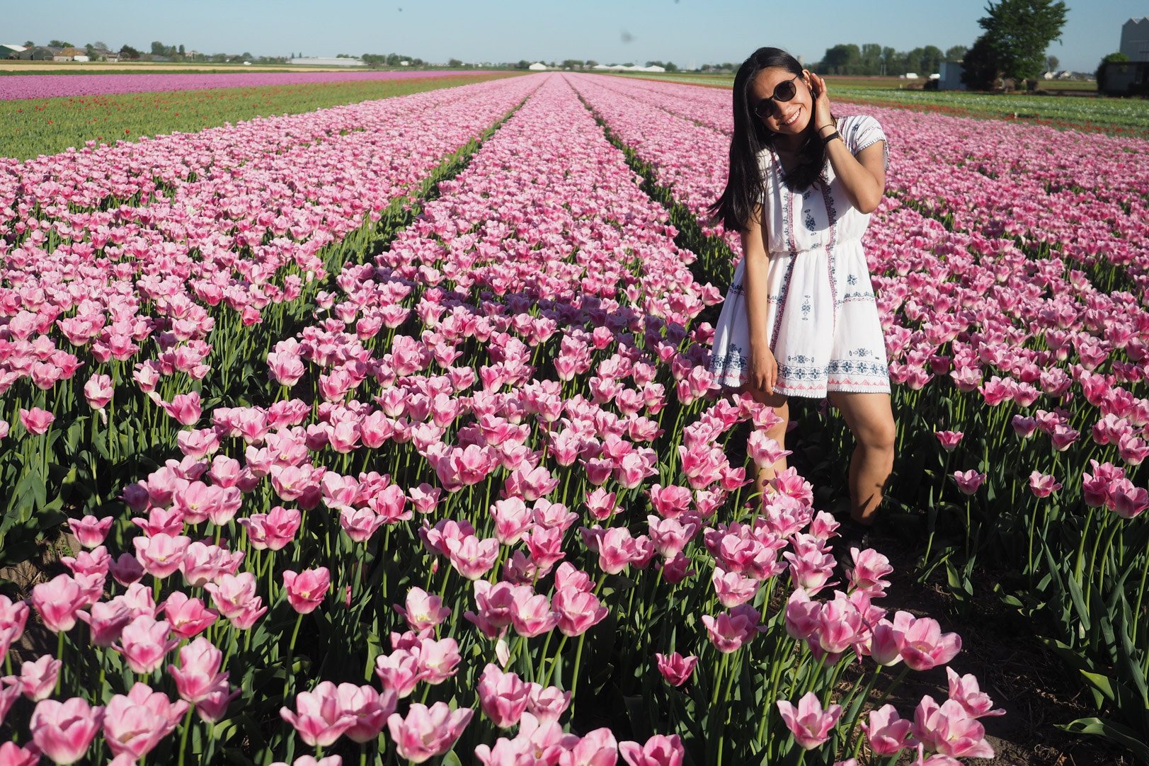 Tips Berkunjung ke Ladang Tulip Gratis di Belanda - Arista's Travelogue